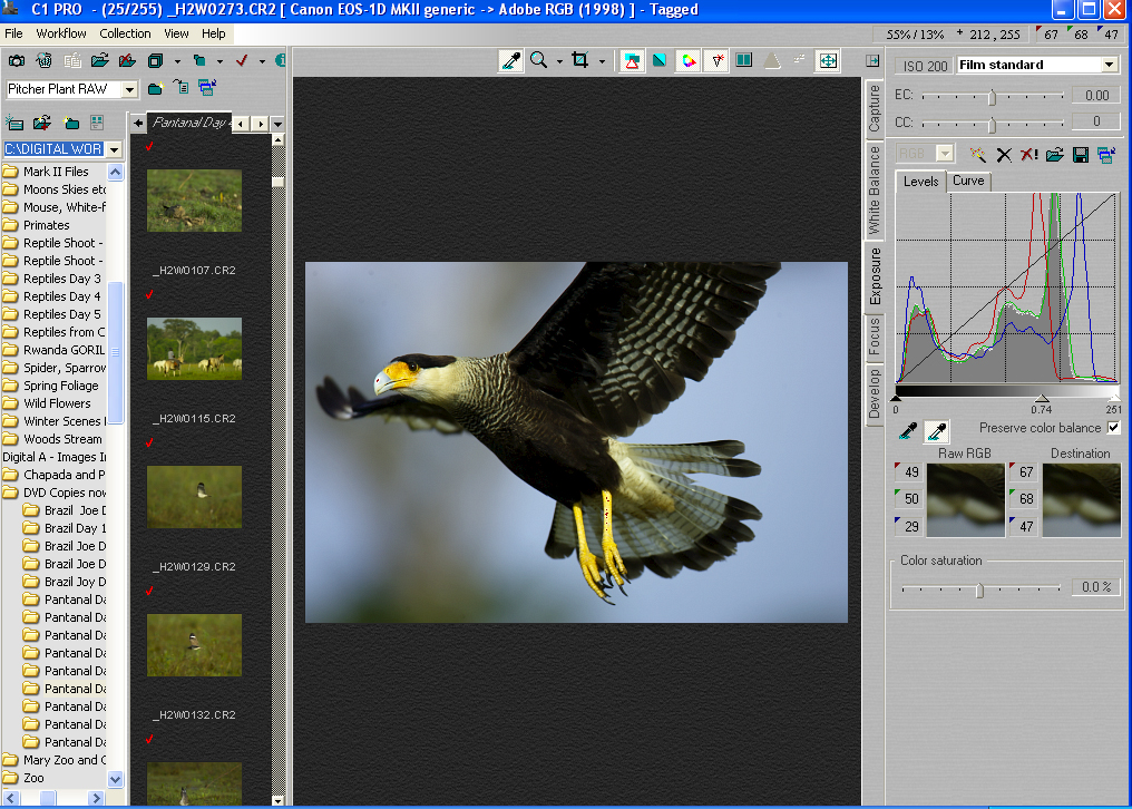 Editing in Capture One RAW Conversion Program